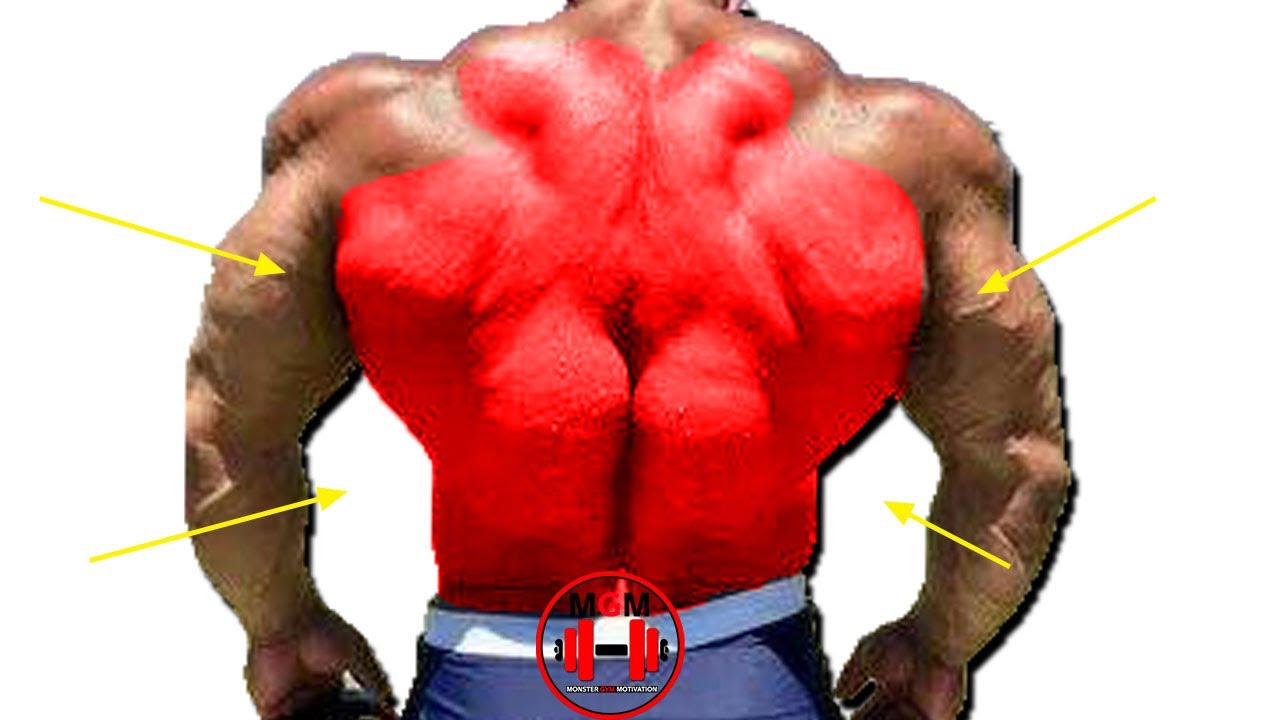 BEST 6 BACK EXERCISES TO GROW WIDE AND HUGE BACK. GET BIGGER BACK NOW ...