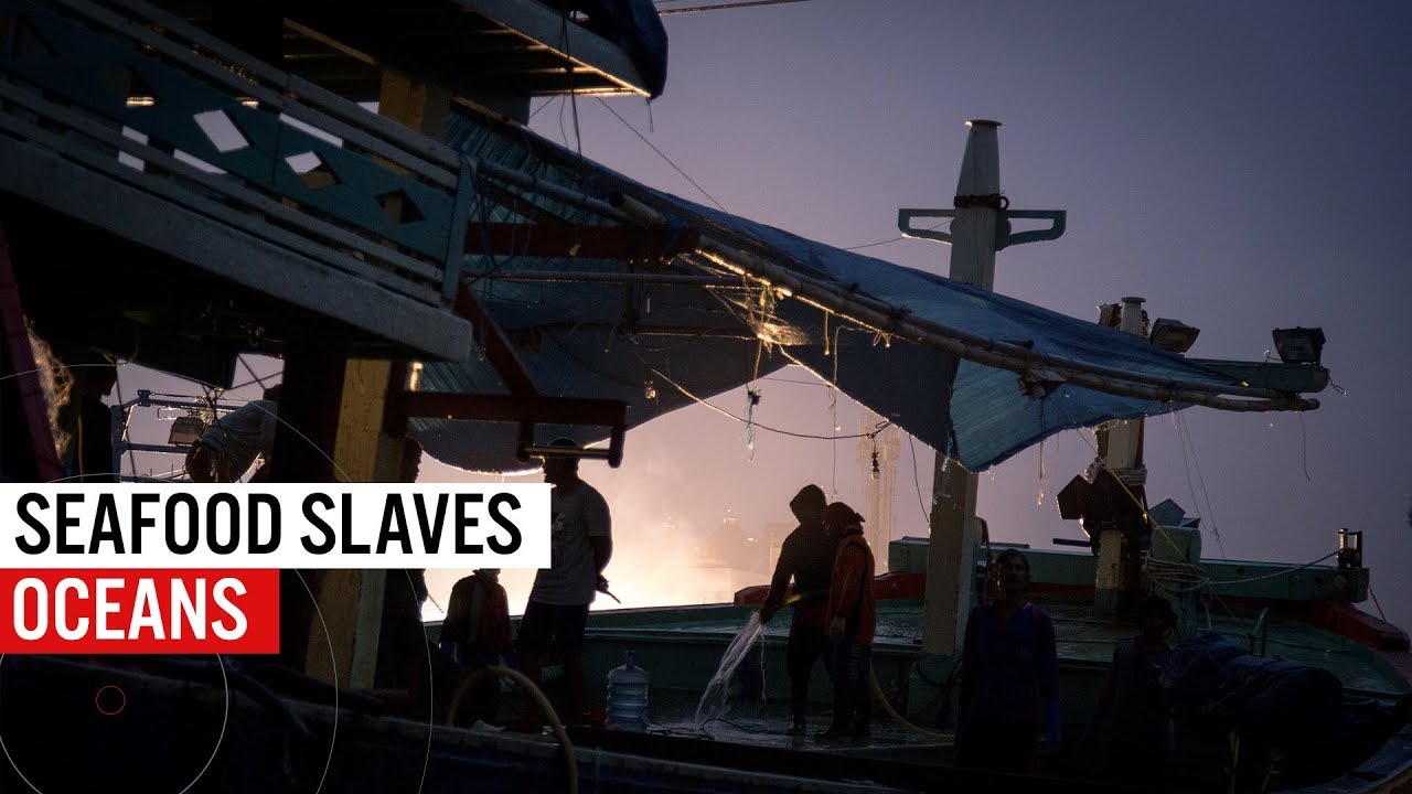Seafood Slaves: Overfishing, Illegal Fishing & Human Rights Abuses ...