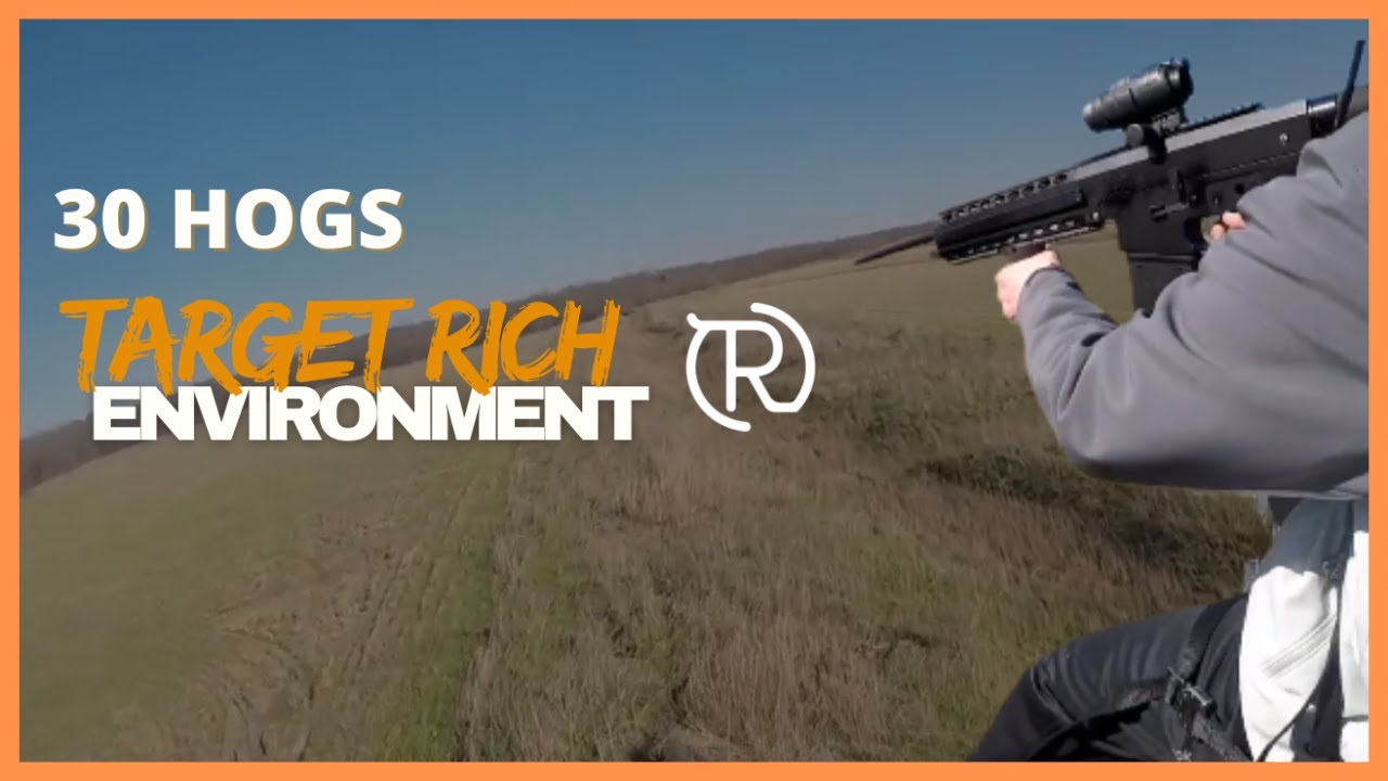 30 Hogs | Target Rich Environment - YouTube