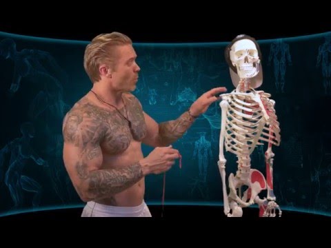 Building Biceps Peak | Targeting the Long Head of Biceps | Advanced Training #3