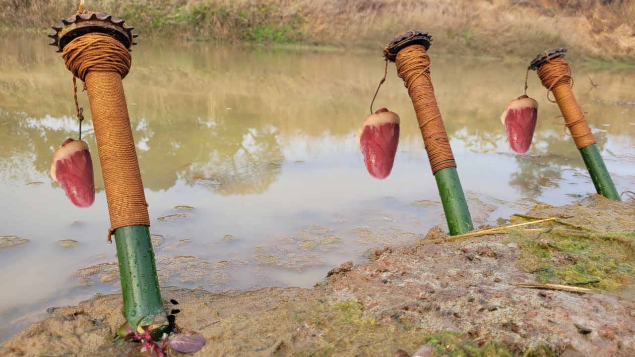 Wow Bamboo stick Hook fishing trap System Boy catching fish with ...