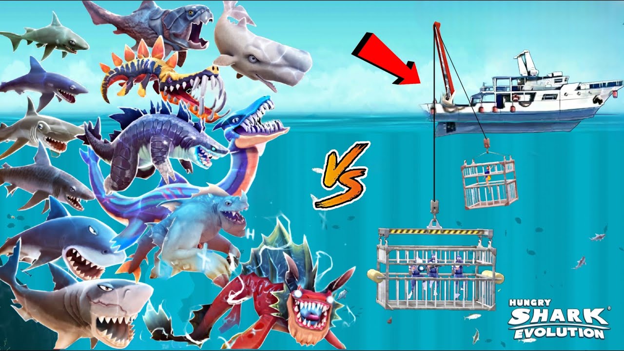Hungry Shark Evolution - Large & Small Shark Cage VS All Sharks 🦈 - YouTube