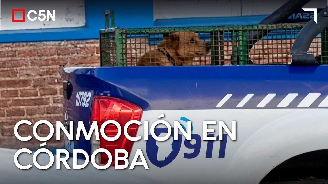 Tragedia en COSQUÍN: una NENA de 4 años MURIÓ atacada por un PERRO ...