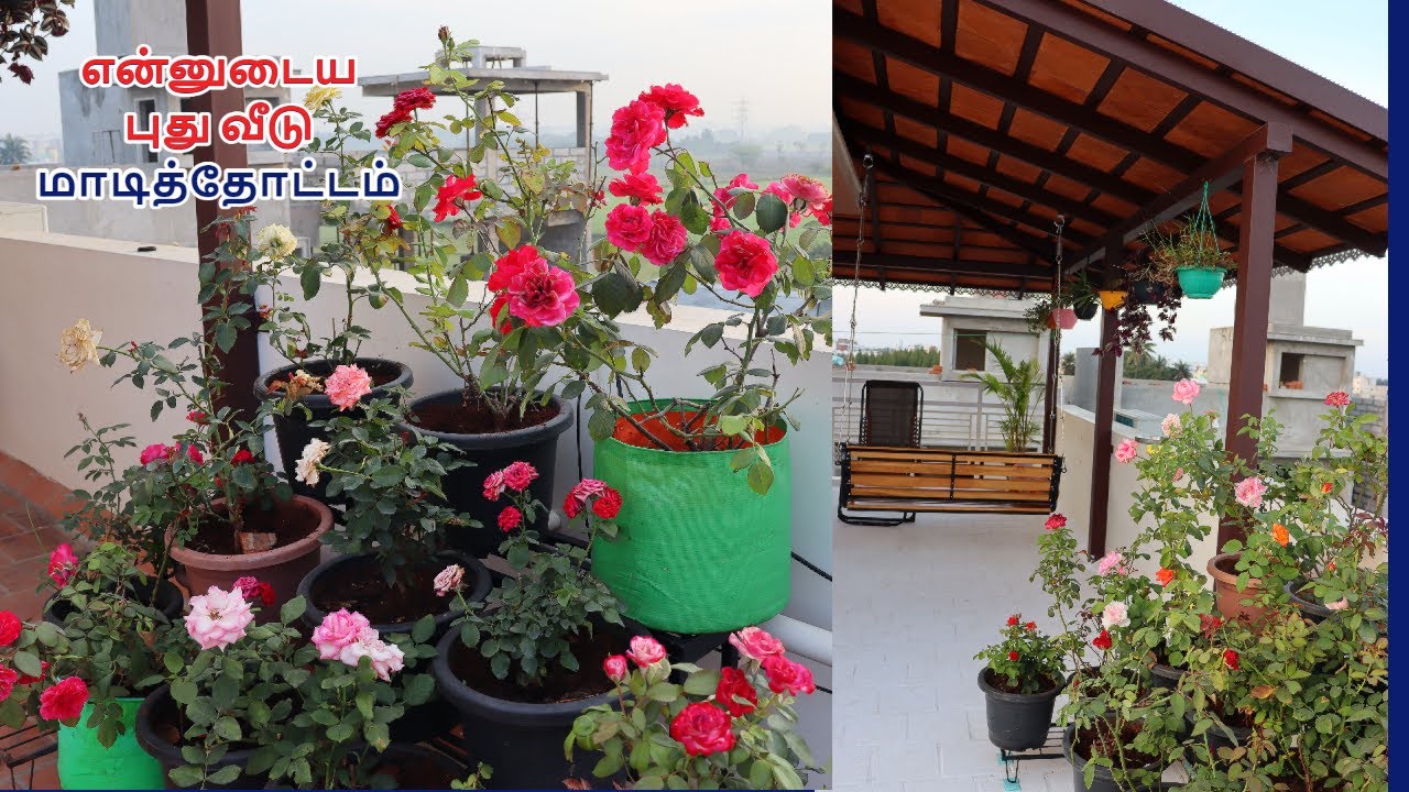 என்னுடைய புது வீடு மாடித்தோட்டம் | My New Terrace garden tour | My ...