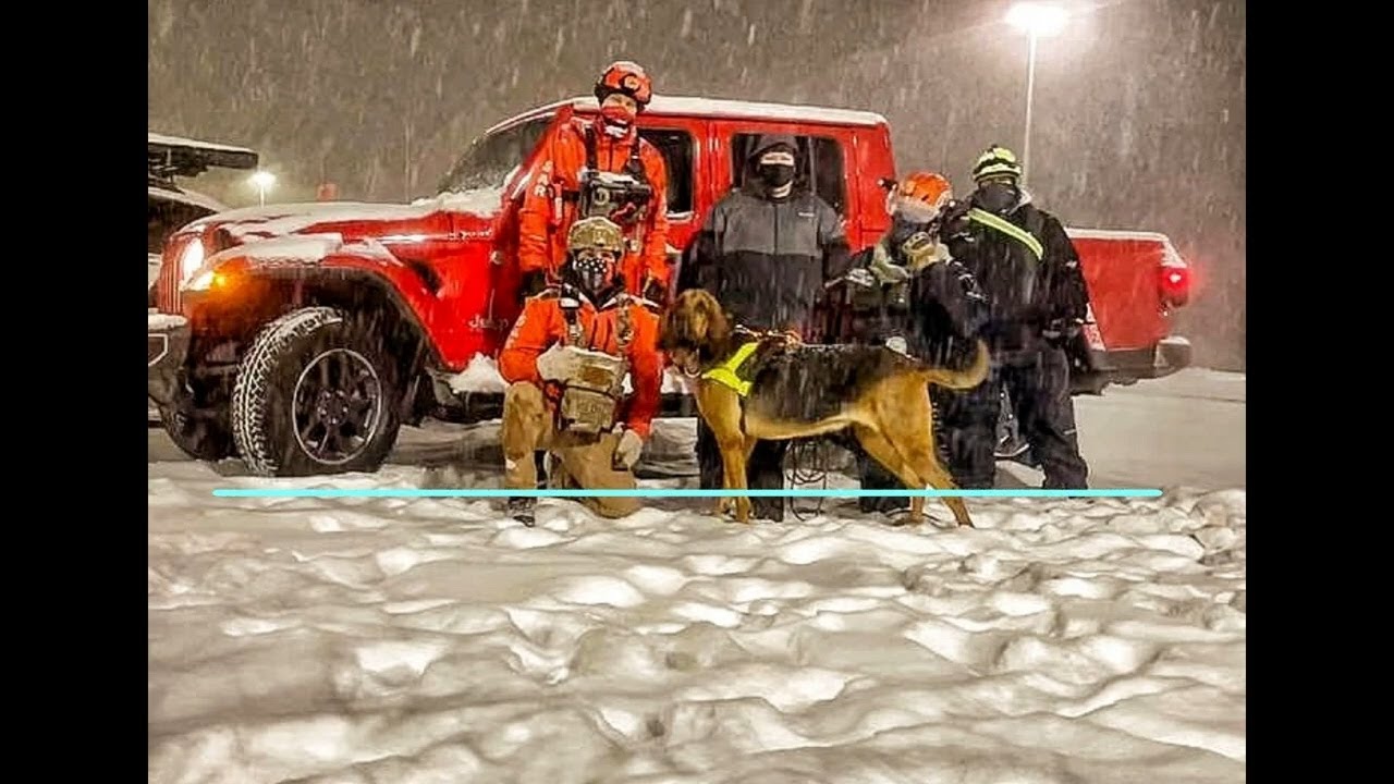 Rescue Dogs Save the Day in the Snow! Trailing Training with Bloodhound ...