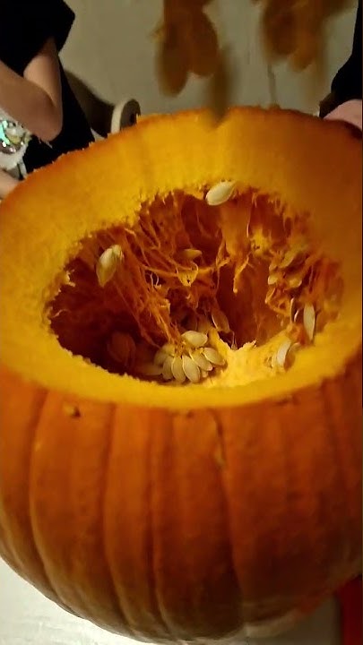 Pumpkin insides - YouTube