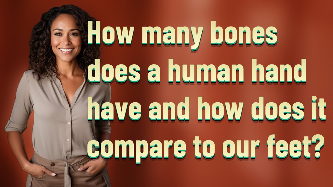 How many bones does a human hand have and how does it compare to our ...