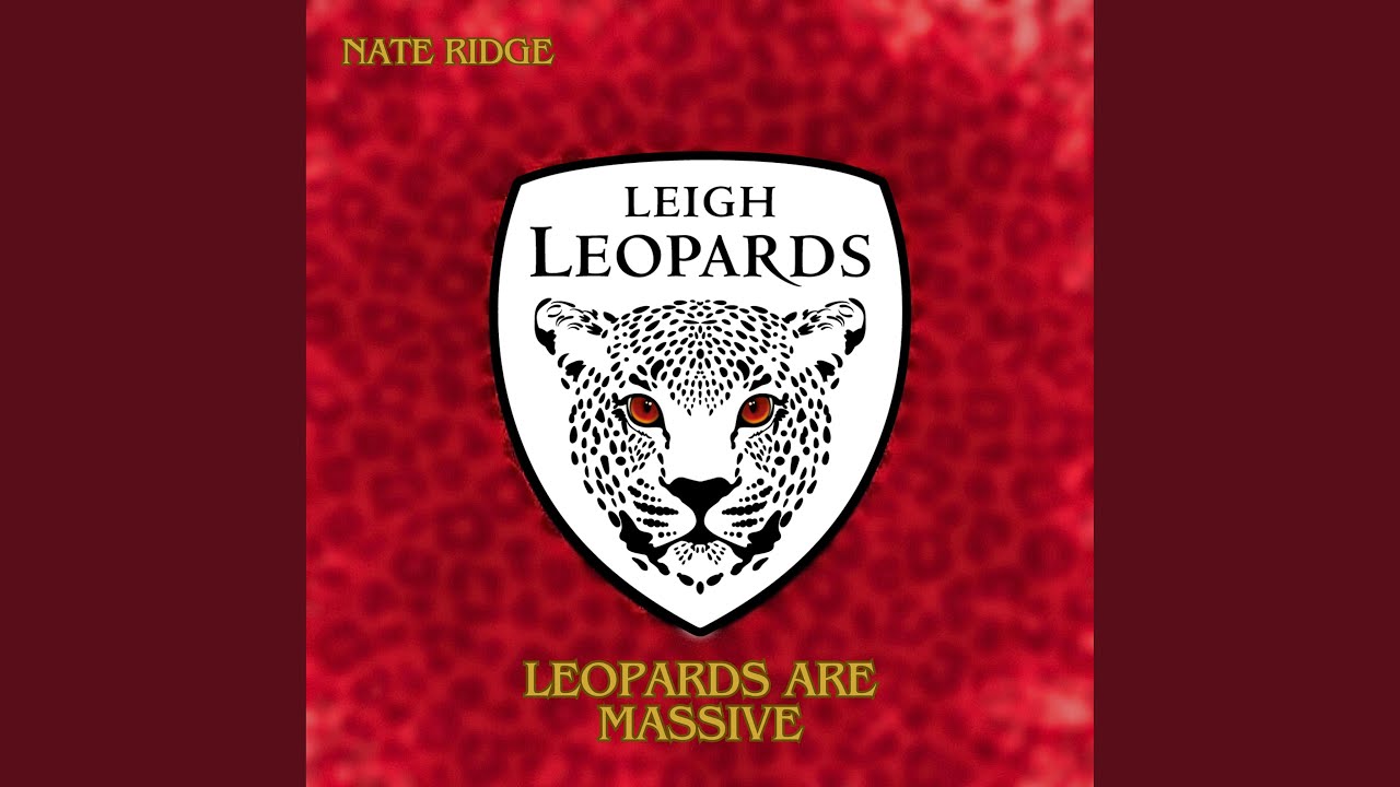 Leopards Are Massive (Everywhere We Go) - YouTube