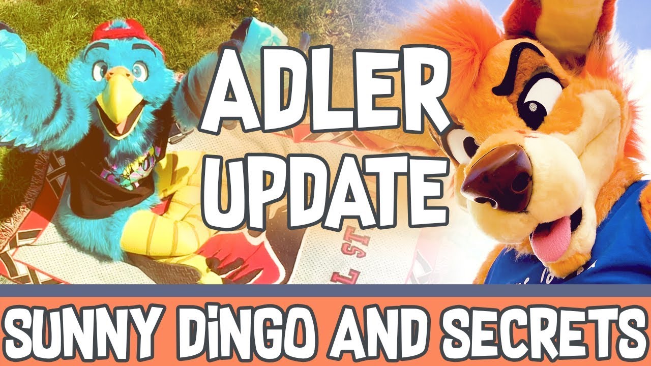 Adler Update - Sunny Dingo and Secret Projects - YouTube