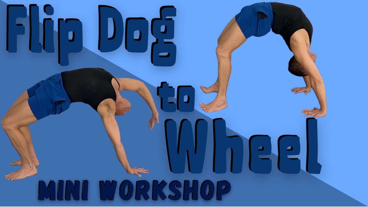Transition from Flip Dog To Wheel Pose 🐶 ☸️ Yoga Transition Mini ...