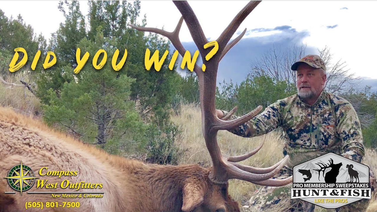 Pro Membership Sweepstakes Drawing February 10th, 2020 - YouTube