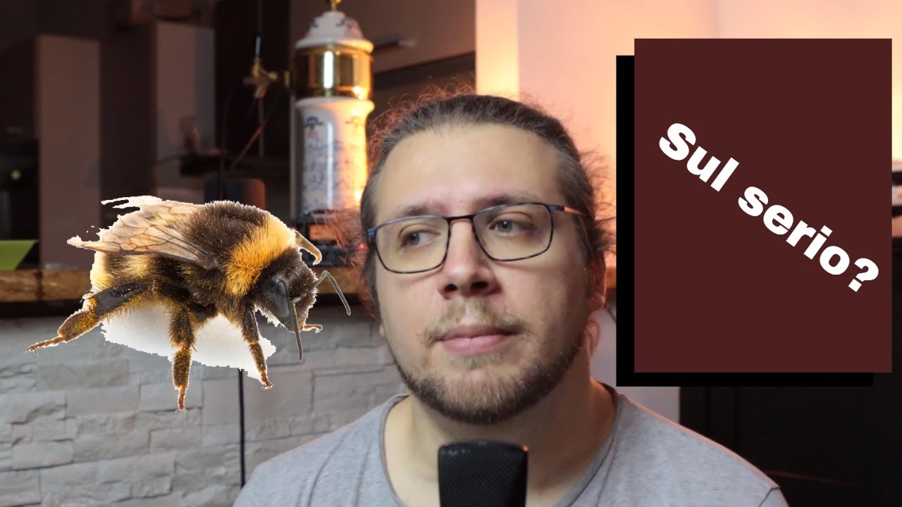 Il bombo non può volare. Eppure lo fa! - YouTube