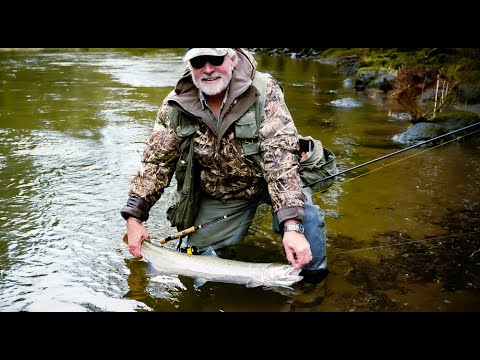 Winter Run Steelhead Oregon coast - YouTube