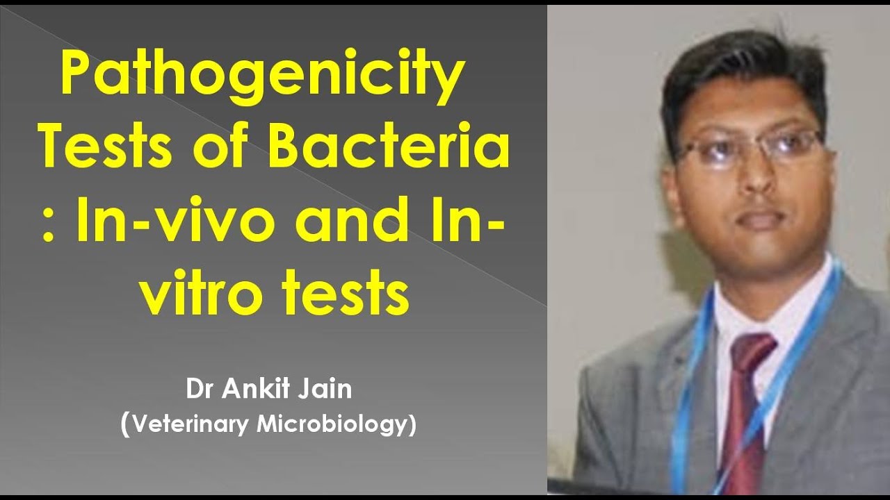 Pathogenicity Tests of Bacteria : In-vivo and In-vitro tests - YouTube