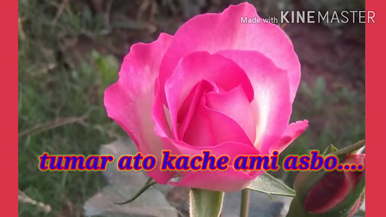 Jibone kokhono vabini tomar ato kache ami asbo - YouTube