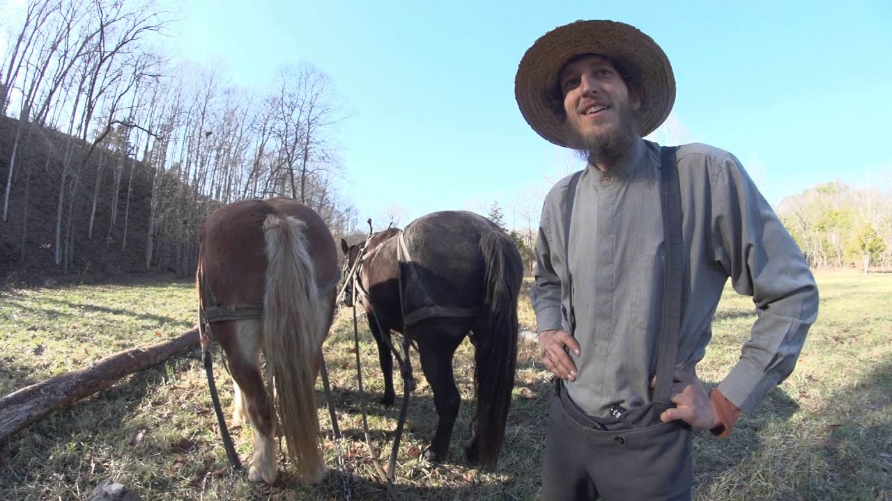 Horse Drawn Logging in Kentucky with Titus Morris - YouTube