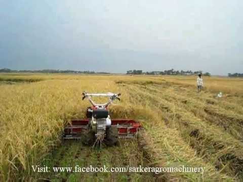 Paddy Cutter at Work - YouTube