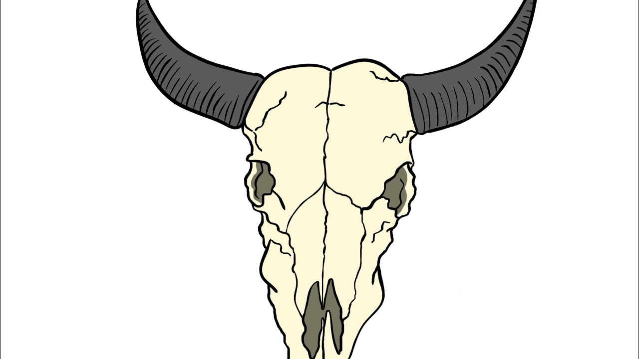 How to Draw COW SKULL | SIMPLE DRAWING - YouTube