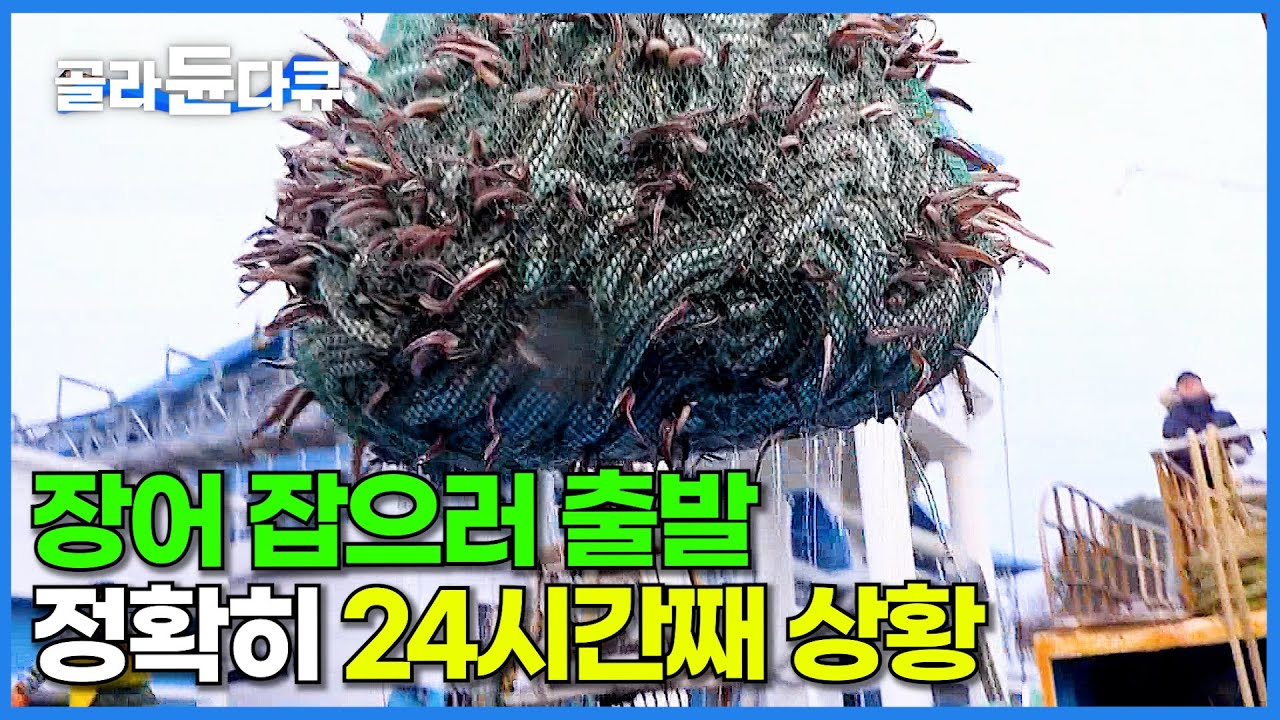 오직 한국에서만 볼 수 있는 풍경 통발 10 000개로 24시간 장어 낚시하면 벌어지는 상황│붕장어잡이 선상 먹방│아나고 만선