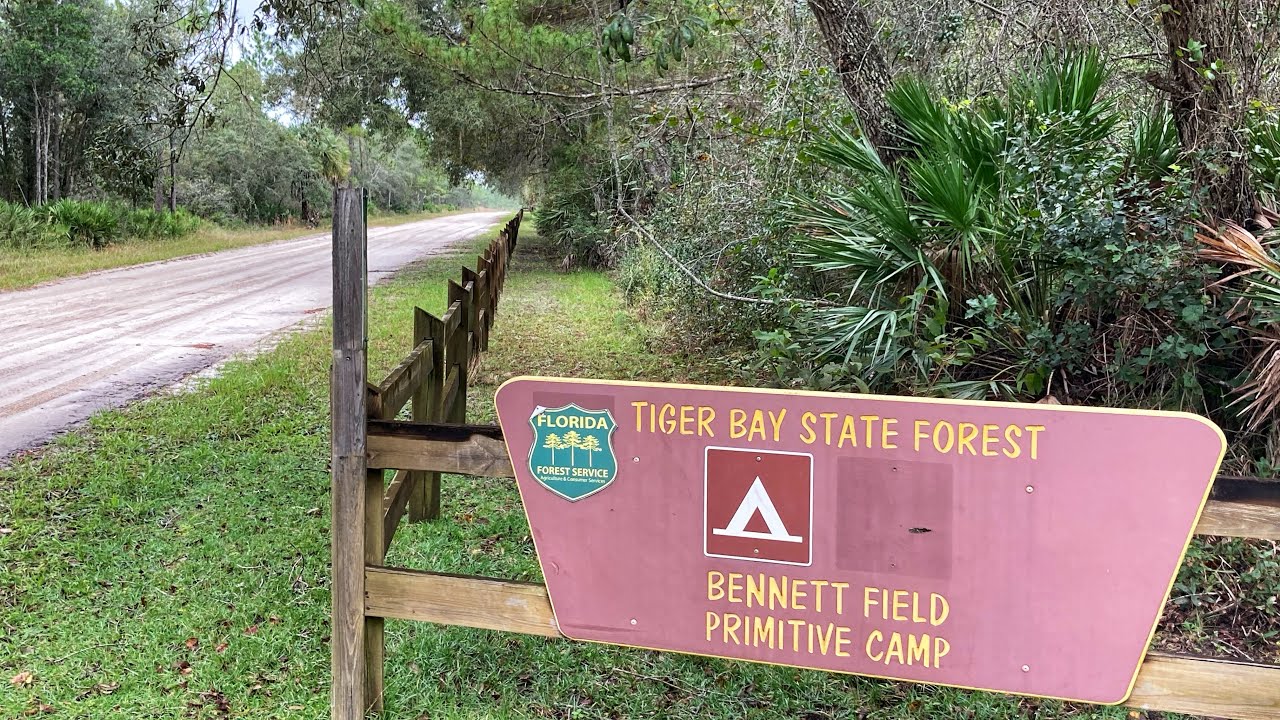 Affordable RV Camping at Bennett Field CG, Tiger Bay State Forest, FL ...