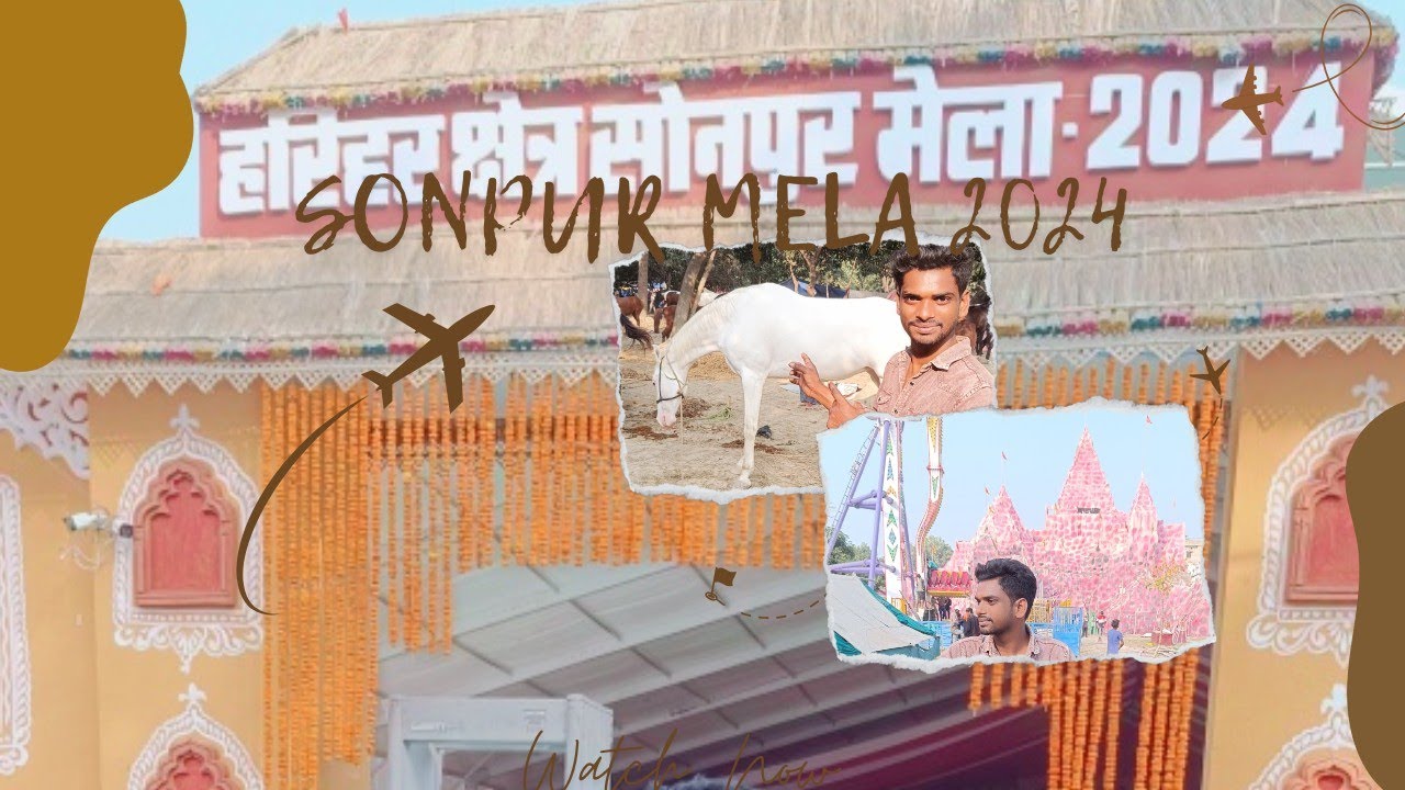 Sonpur mela 2024//Asia Biggest Animal mela ️//1st day - YouTube