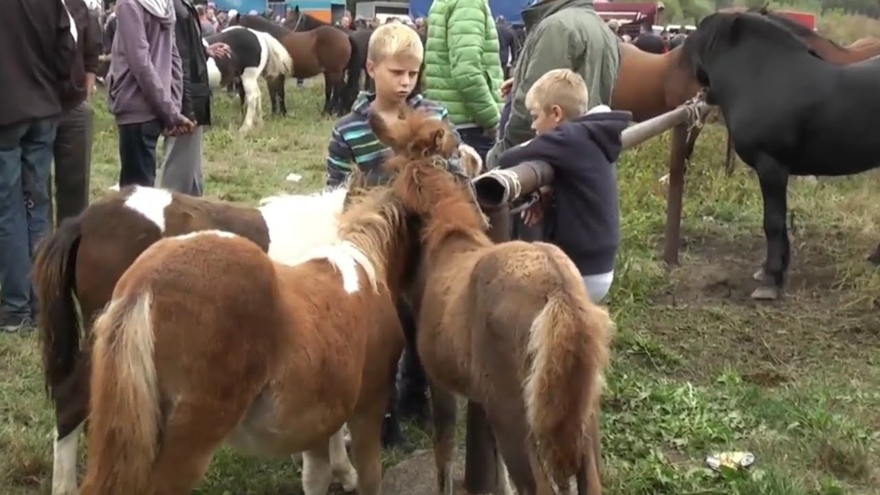 DERNEK_MIHOLJSKI VAŠAR TURBE_TRAVNIK _ iz perspektive posjetioca - YouTube