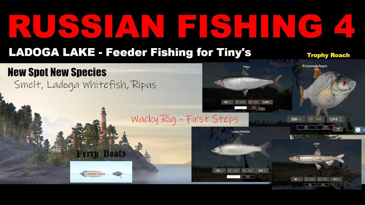 RUSSIAN FISHING 4 - Ladoga Lake FIRST ADVENTURE - Smelt - Whitefish ...