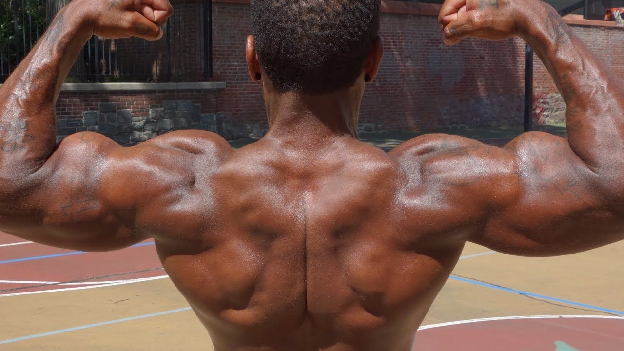 The Ultimate Back & Biceps Routine: Building a Shredded Upper Body ...