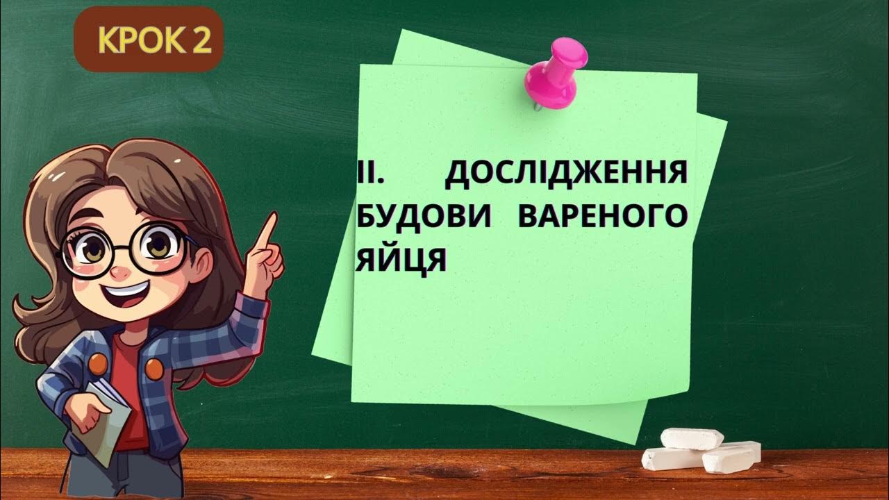 Лабораторне дослідження Будова яйця Youtube