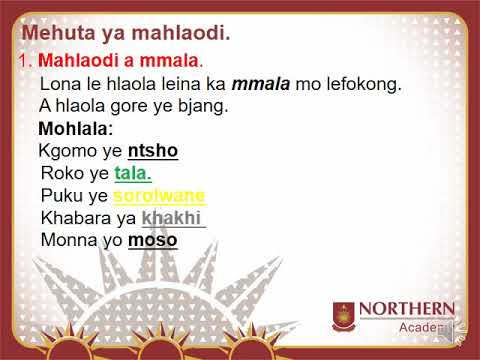 Gr9 Sepedi Mahlodi - YouTube