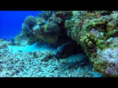 Cozumel 11/9/2014. Santa Rosa Wall, San Francisco, & Yucab - YouTube