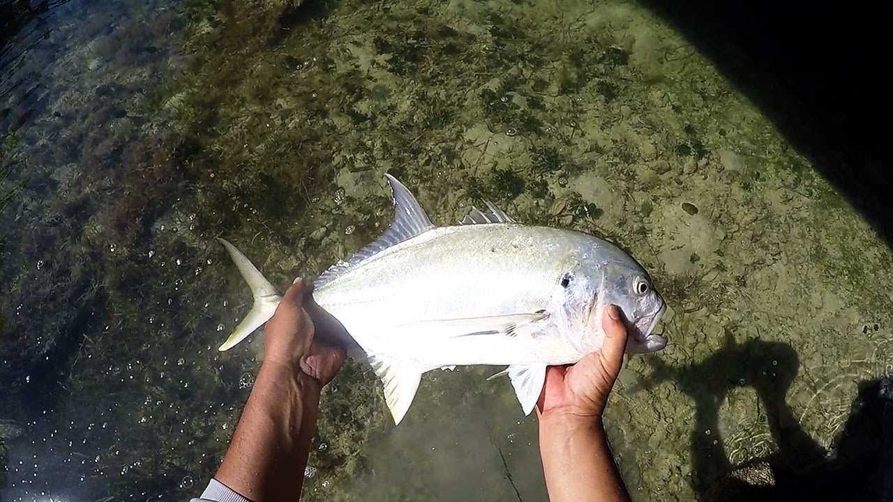 Bridge Fishing Basics - Baits and Rigs - YouTube