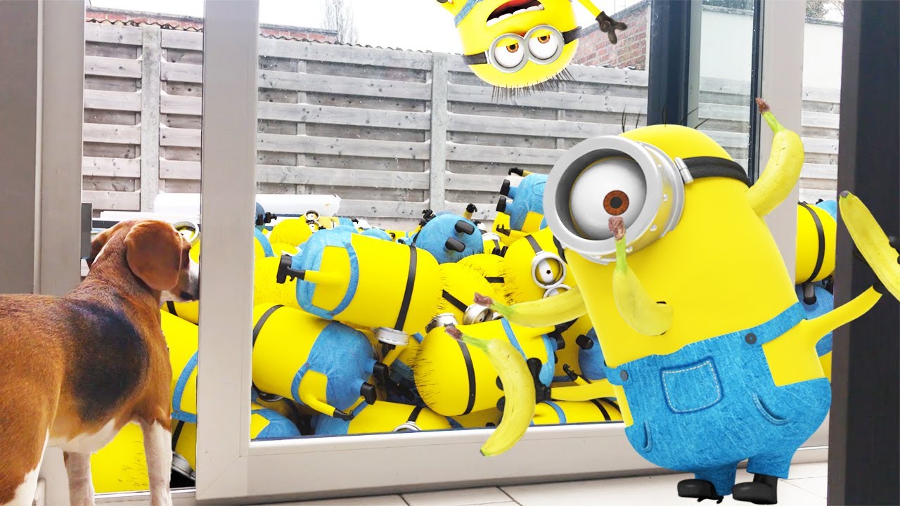 Minions Come To Life! Awesome Compilation - YouTube