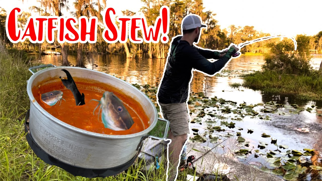 BIG Summer Catfish - CATCH, Clean, COOK Catfish Stew - YouTube