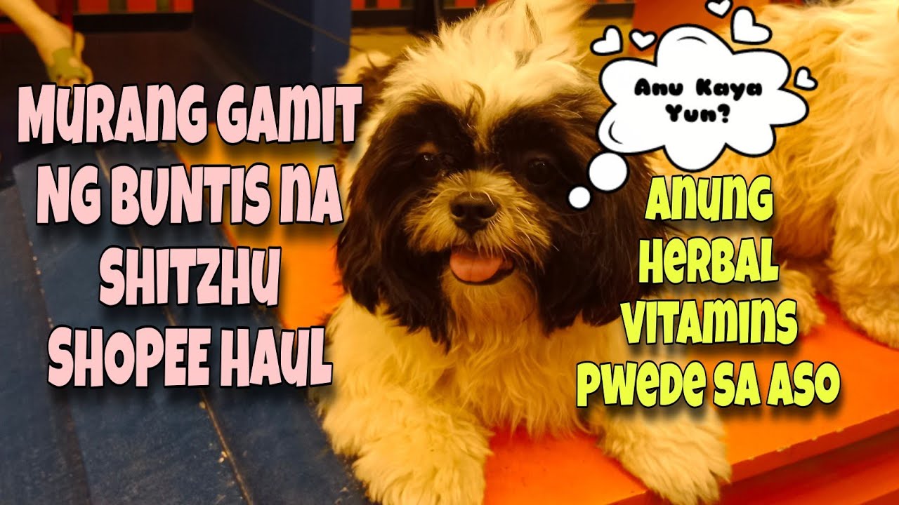 GAMIT NG ASONG BUNTIS, MAAGANG PREPARASYON, SUPER MURA LANG NA NABILI ...