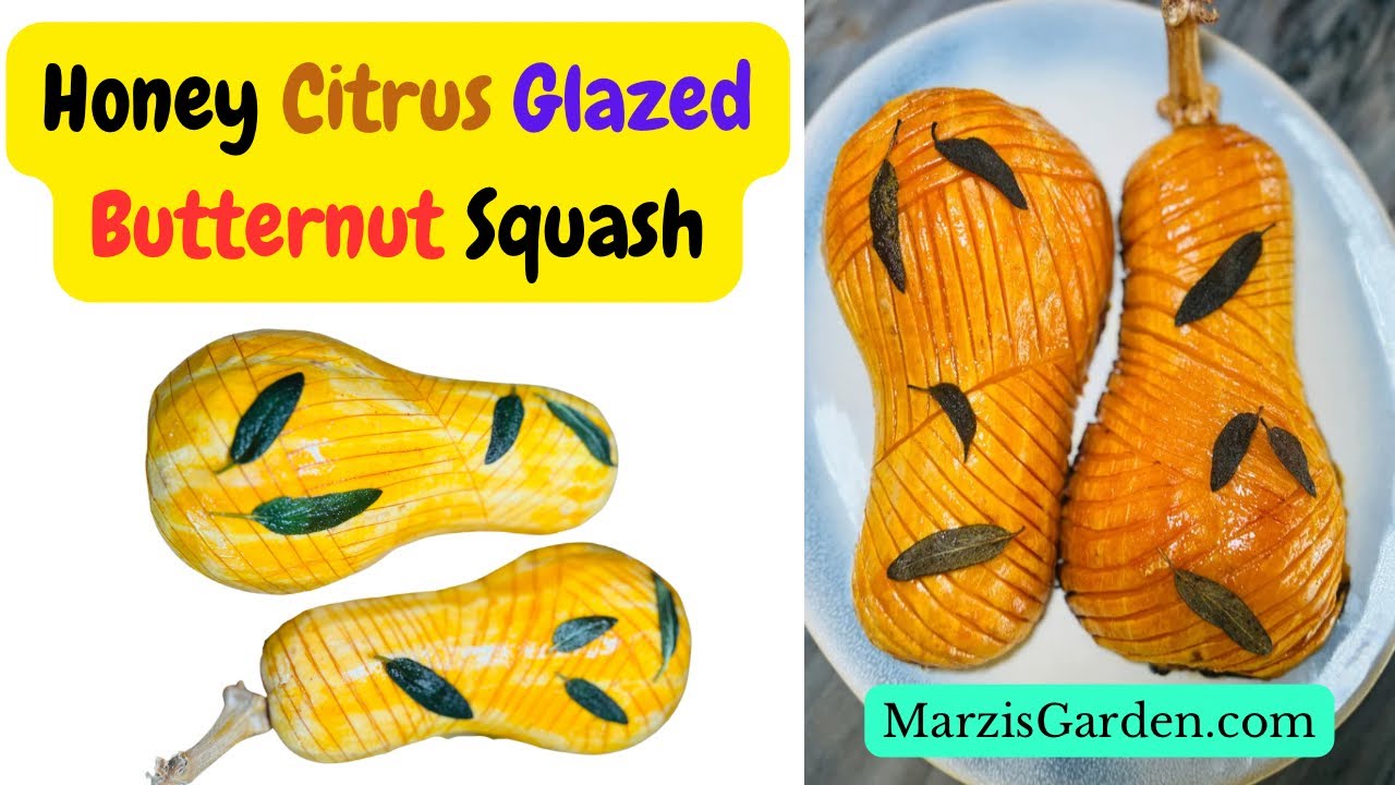 How to Make Spring Harvest Honey Citrus Glazed Butternut Squash From ...