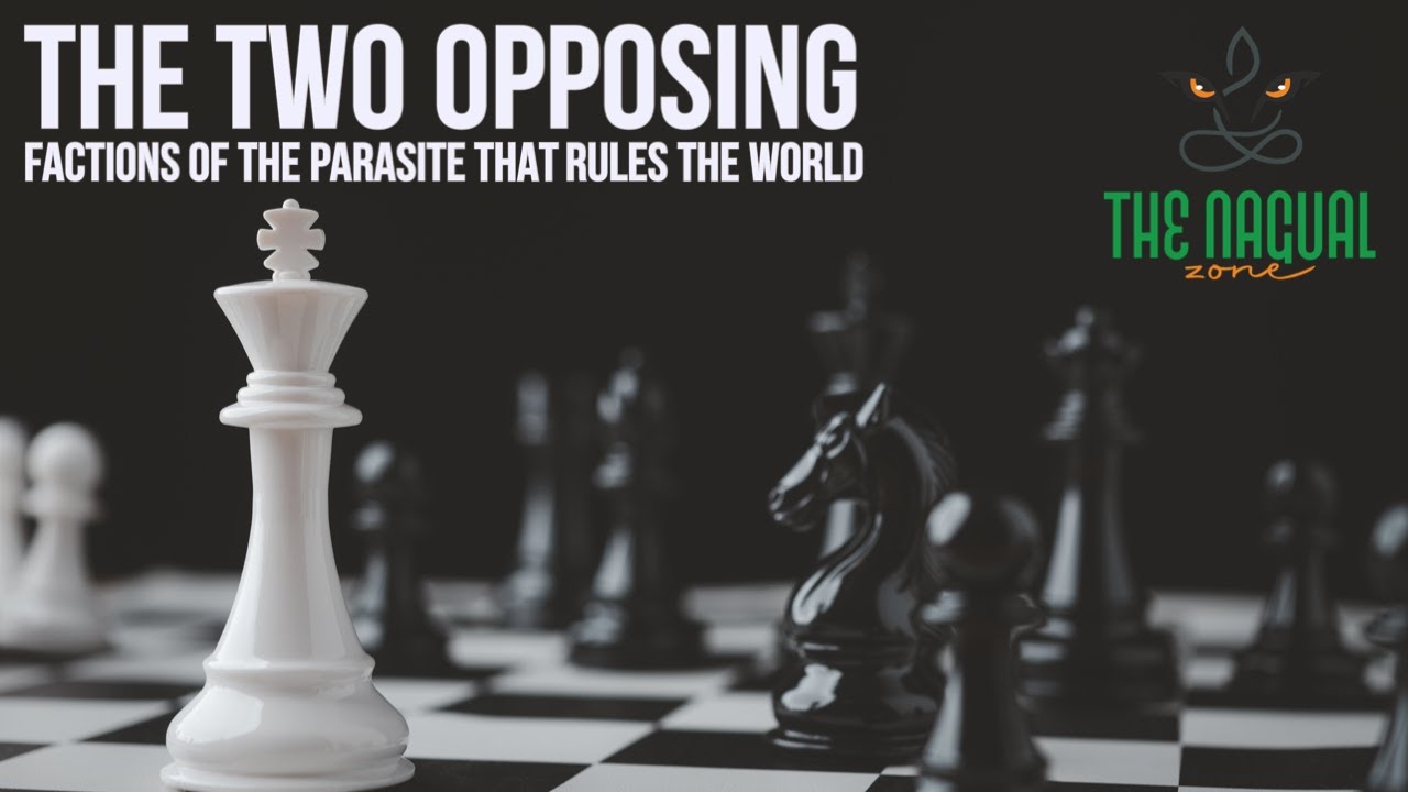 The Two opposing Factions of the Parasite - Carlos Castaneda| Don Juan ...