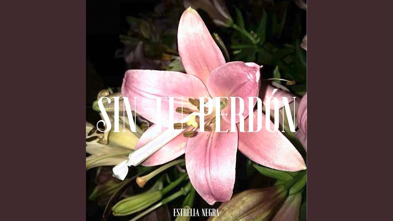 Sin tu perdón - YouTube