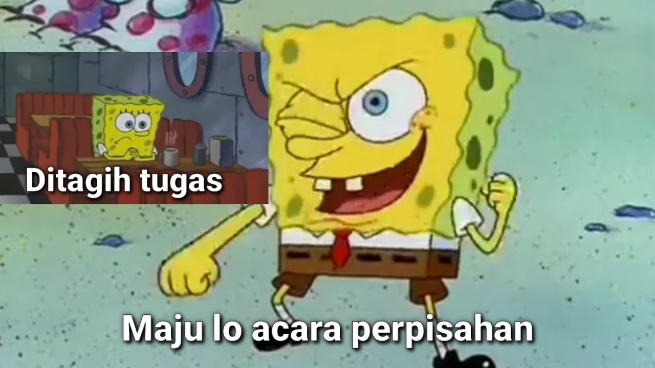 Maju lo Acara perpisahan (meme spongebob) - YouTube