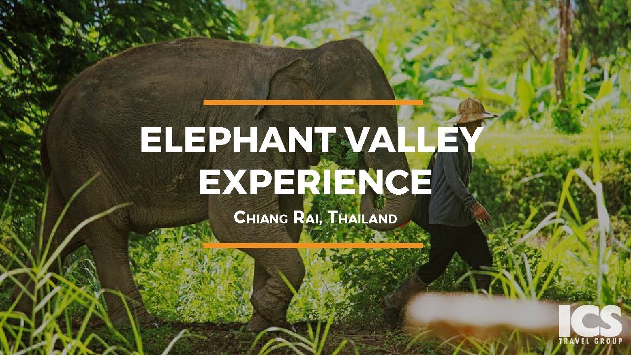Thailand | Elephant Valley Experience - YouTube