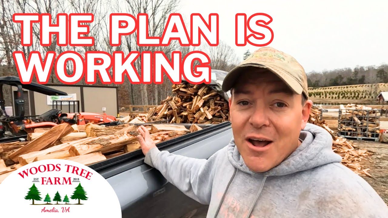 The Firewood Plan Is Coming Together - YouTube