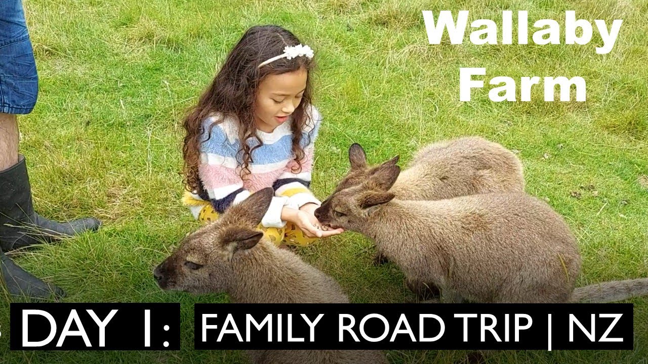 DAY1: FAMILY ROAD TRIP - Best itinerary with Kids | South Island NZ ...