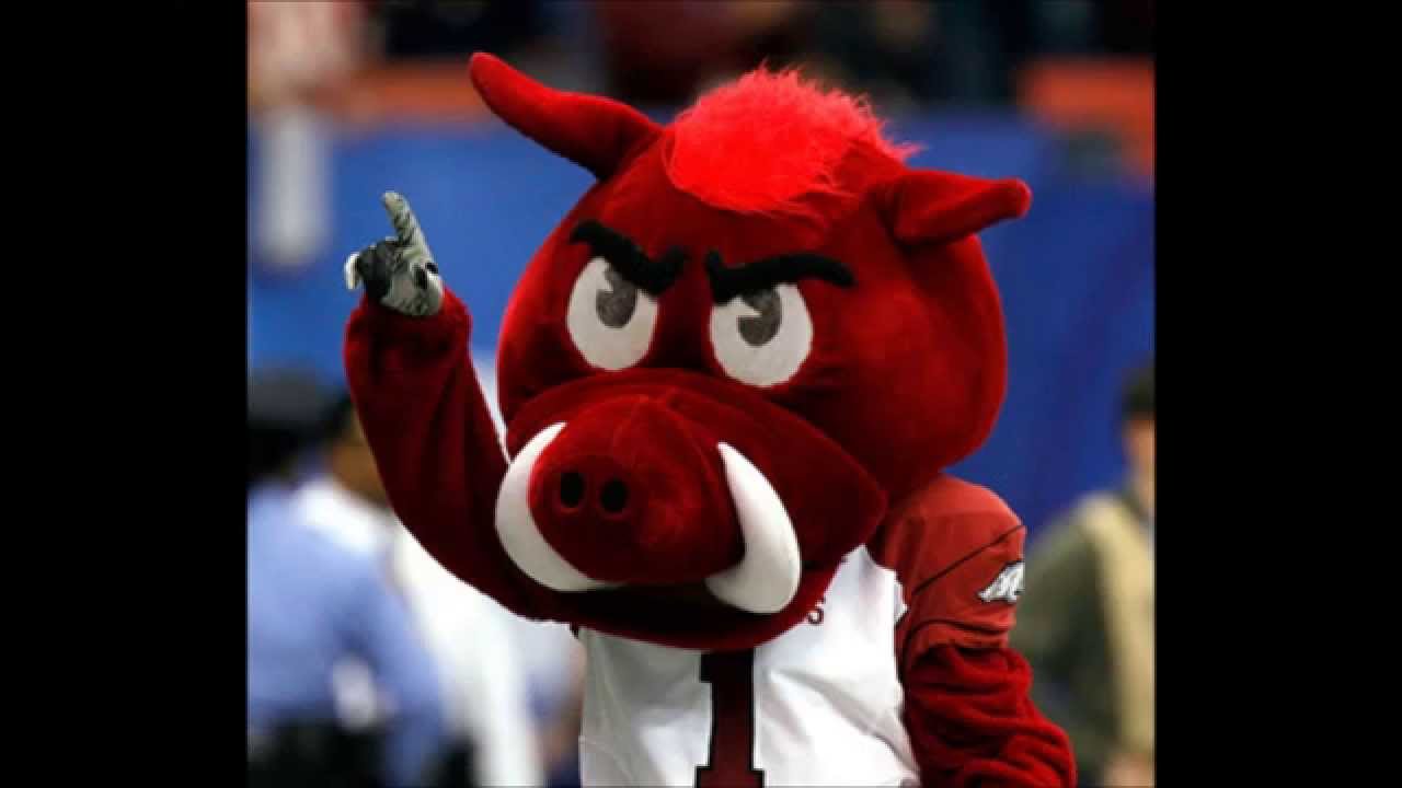 Arkansas Razorbacks 2014 - Welcome Back Hogs!!! - YouTube