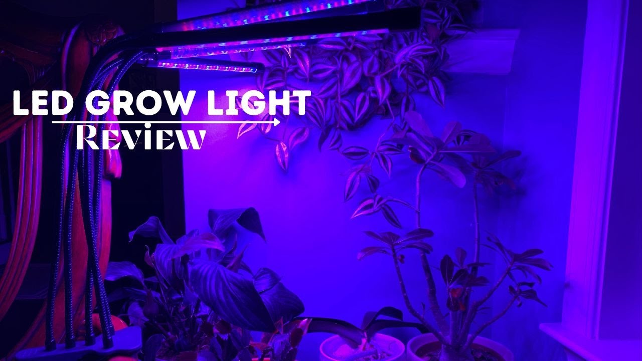 GroDrow LED Grow Light Review II Jersey Gardening - YouTube