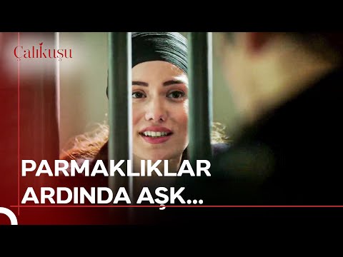 Sıcak Sahneler #30 - Ben Seni Böyle De Severim Kamran | Çalıkuşu