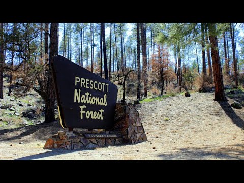 What Happened in the Prescott National Forrest/Wizard Rock? - YouTube