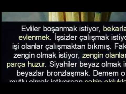 Bekarlar evlenmek istiyor, evliler boşanmak istiyor! Bi şükredin kardeşim