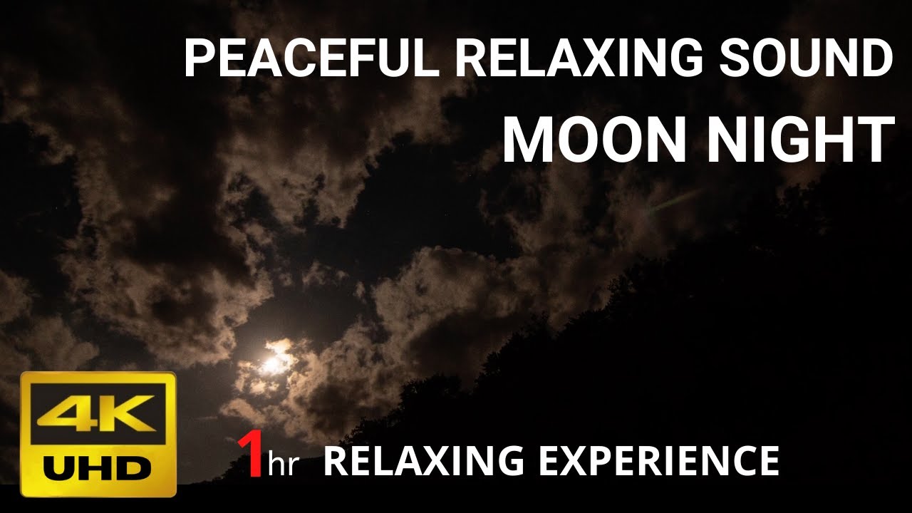 Relaxing Moon Night Sounds for Sleeping or Studying - HD 4K - Nature ...