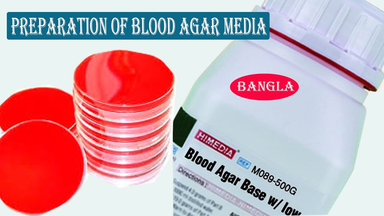 Blood Agar Preparation | Blood Agar Media Preparation Procedure - YouTube
