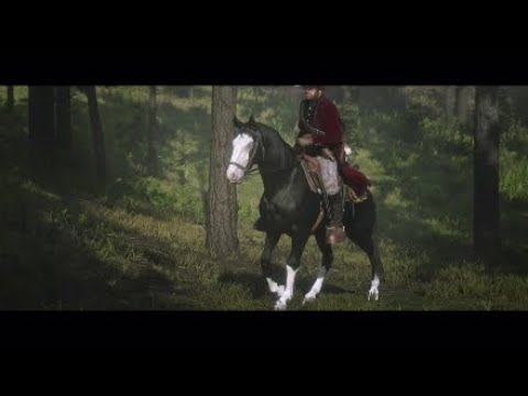 Red Dead Redemption 2 Comparison The First Bear Attack And With Max ...